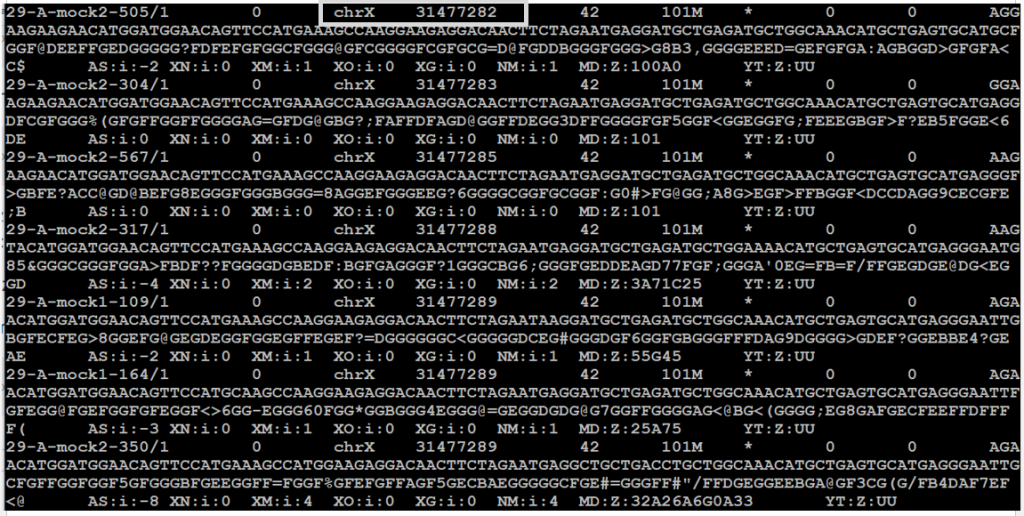 Práctica 2 – Biocomputación
